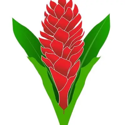 Samoa Ranking Profile | Rugby Historian